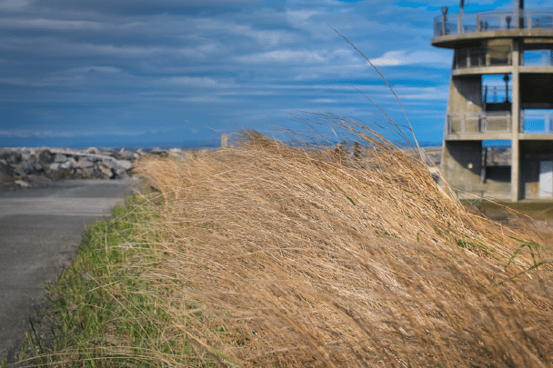 Community & Local Area - Summit Pacific